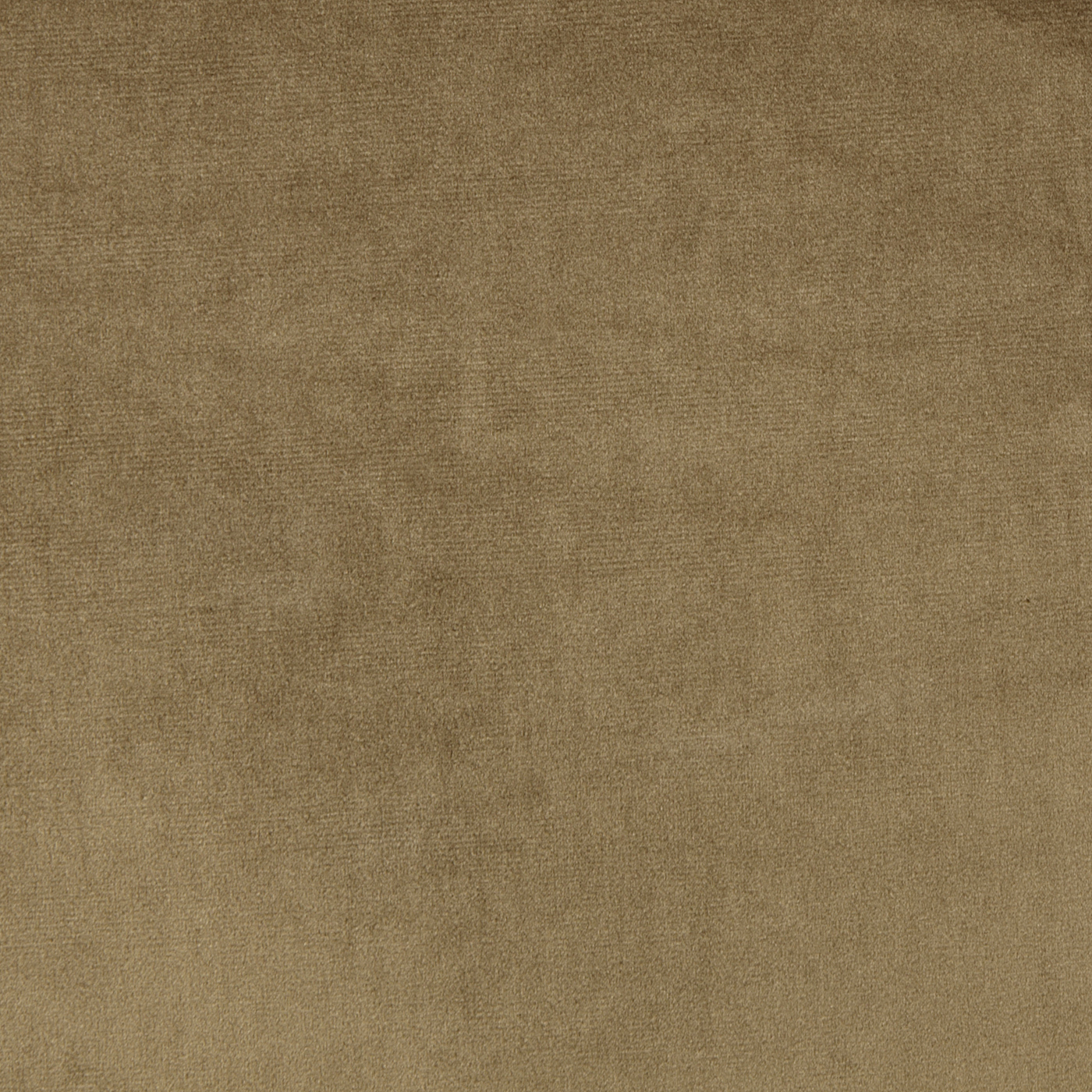 Velour - Atlantic fabric | Velour | Prestigious Textiles
