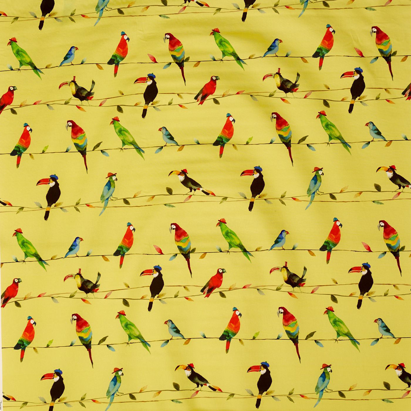 Toucan talk - Paintbox fabric | My World | Prestigious Textiles
