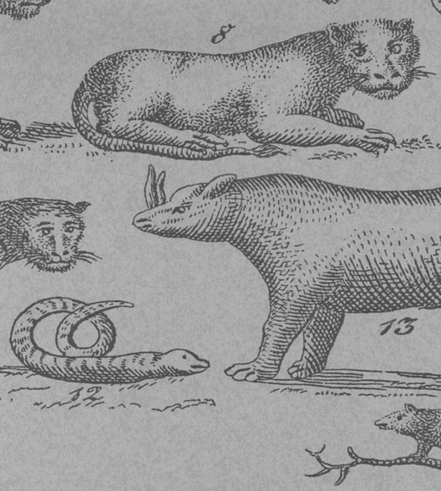 Ark - Sand wallpaper | Museum | Andrew Martin