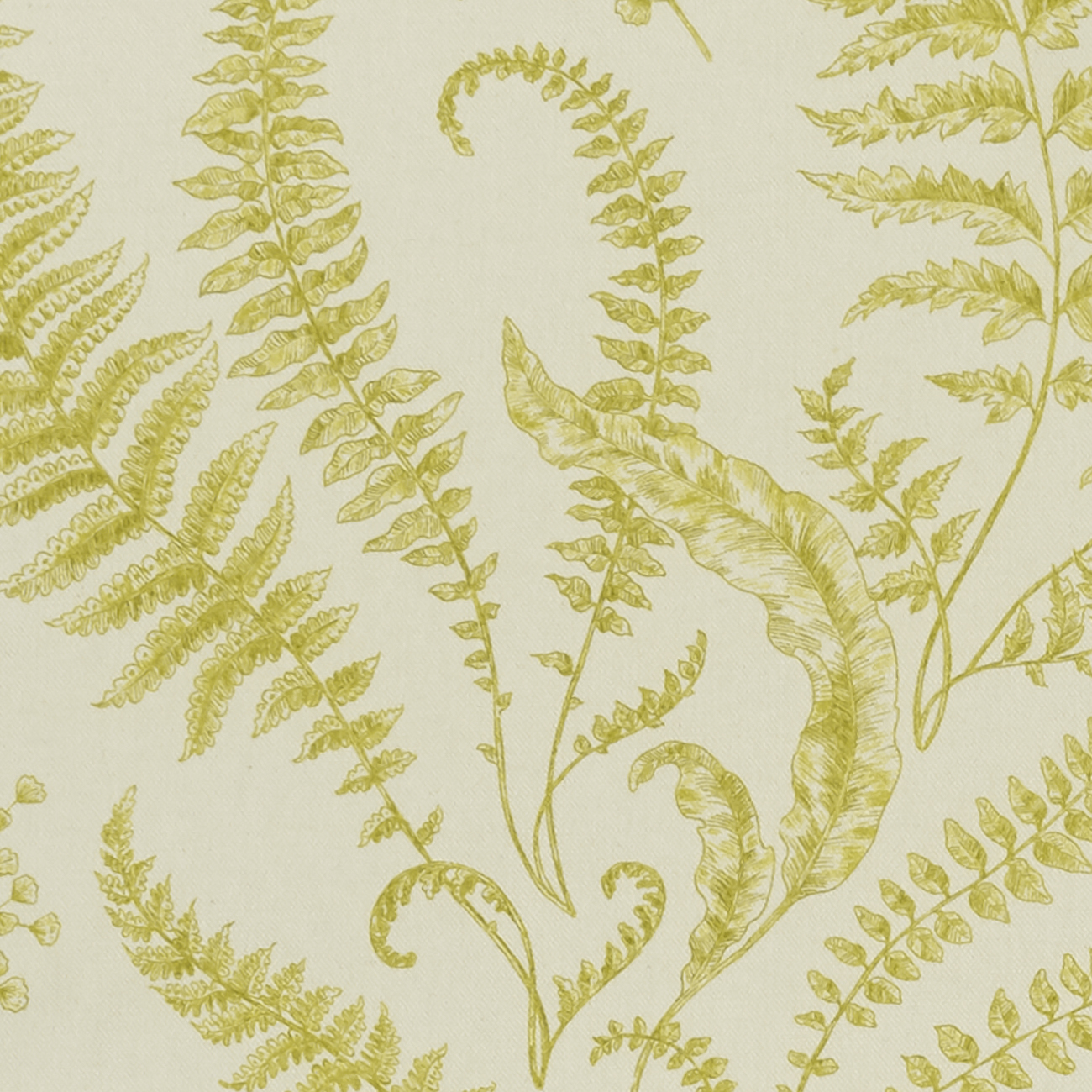 Folium - Forest fabric | Eden | Clarke & Clarke
