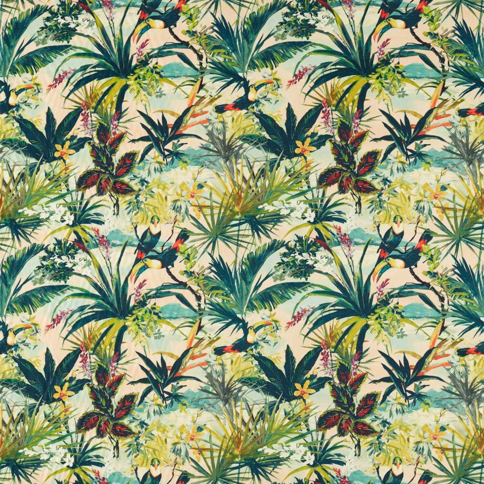 Toucan - Blush fabric | Exotica II | Clarke & Clarke