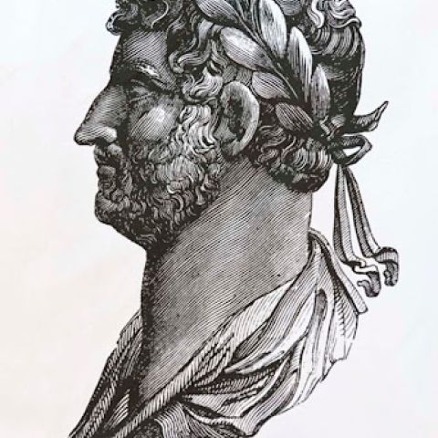 Timney Fowler Fabrics & Upholstery - Beautiful Designer Fabrics