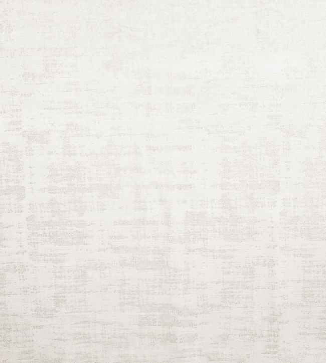 Dakota from Ashley Wilde