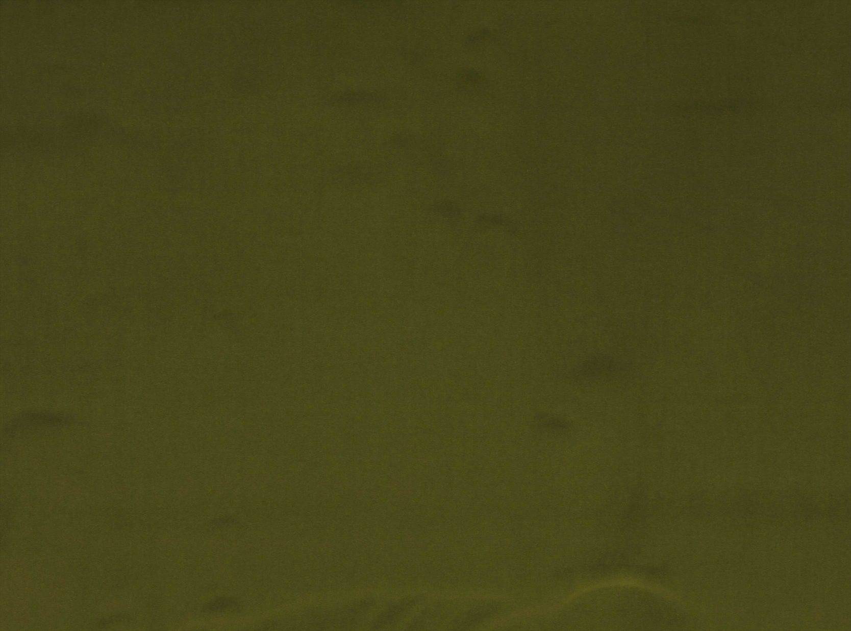 Forenza - Forest fabric | Forenza | Romo