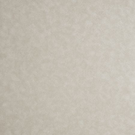 Playa - Parchment wallpaper | Reflections Wallpapers | Clarke & Clarke