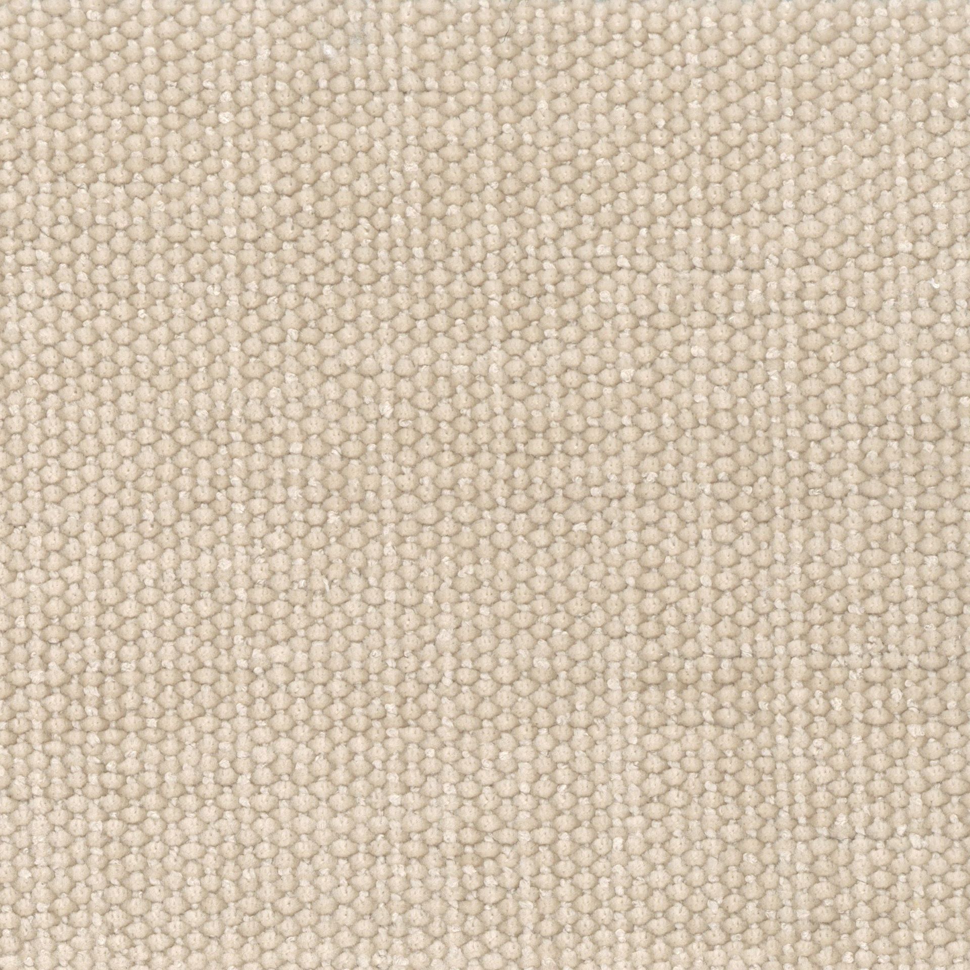 Primrose from Wemyss