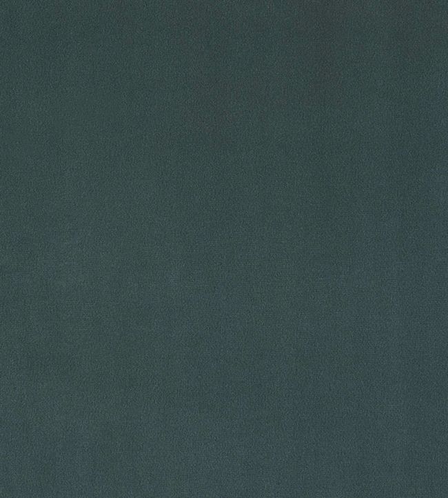 Plush Velvet - Cloud fabric | Plush Velvet | Warwick