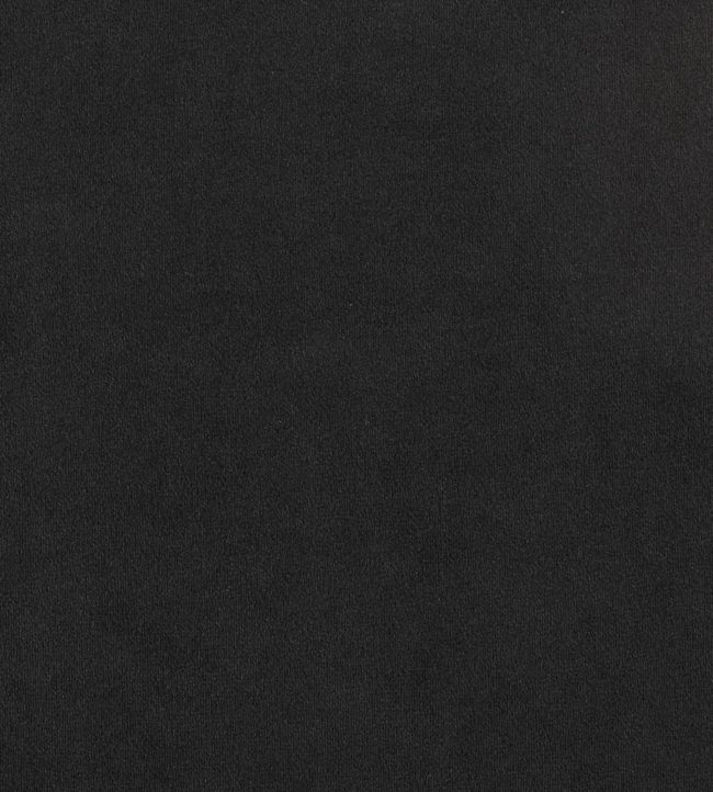 Plush Velvet - Cloud fabric | Plush Velvet | Warwick