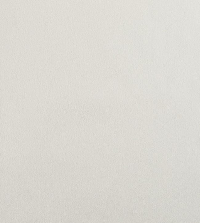 Plush Velvet - Cloud fabric | Plush Velvet | Warwick