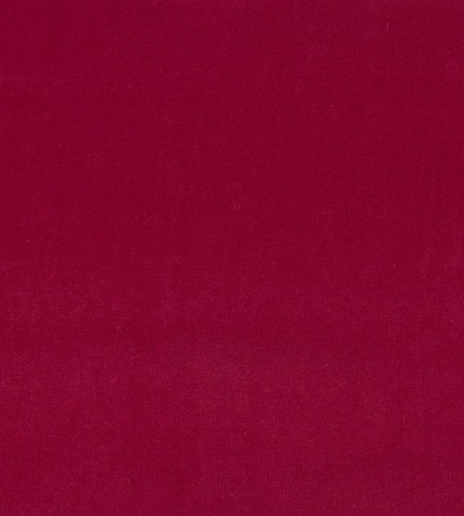 Plush Velvet - Cloud fabric | Plush Velvet | Warwick