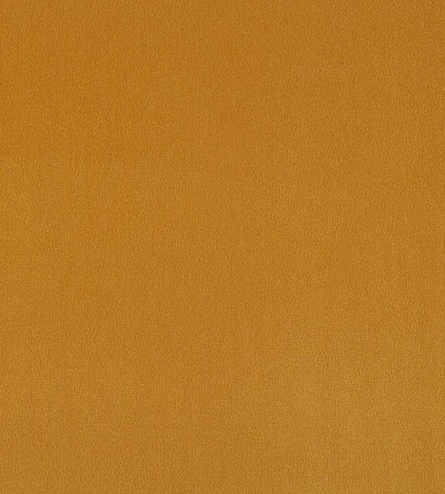 Plush Velvet - Cloud fabric | Plush Velvet | Warwick