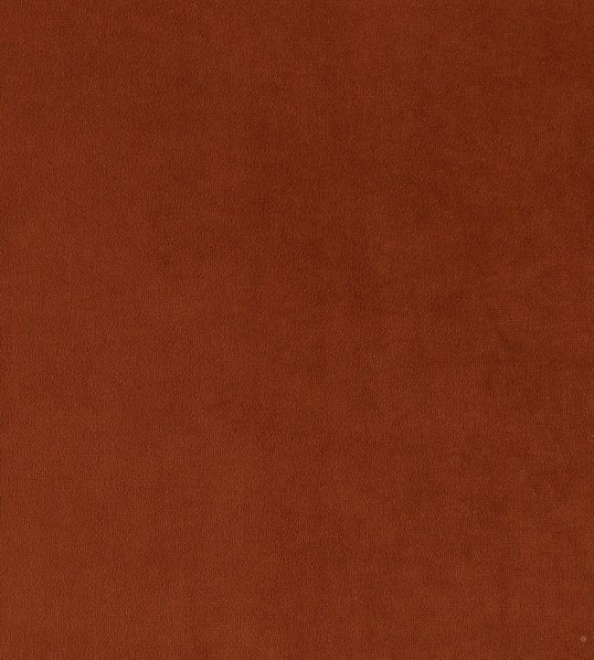 Plush Velvet - Cloud fabric | Plush Velvet | Warwick